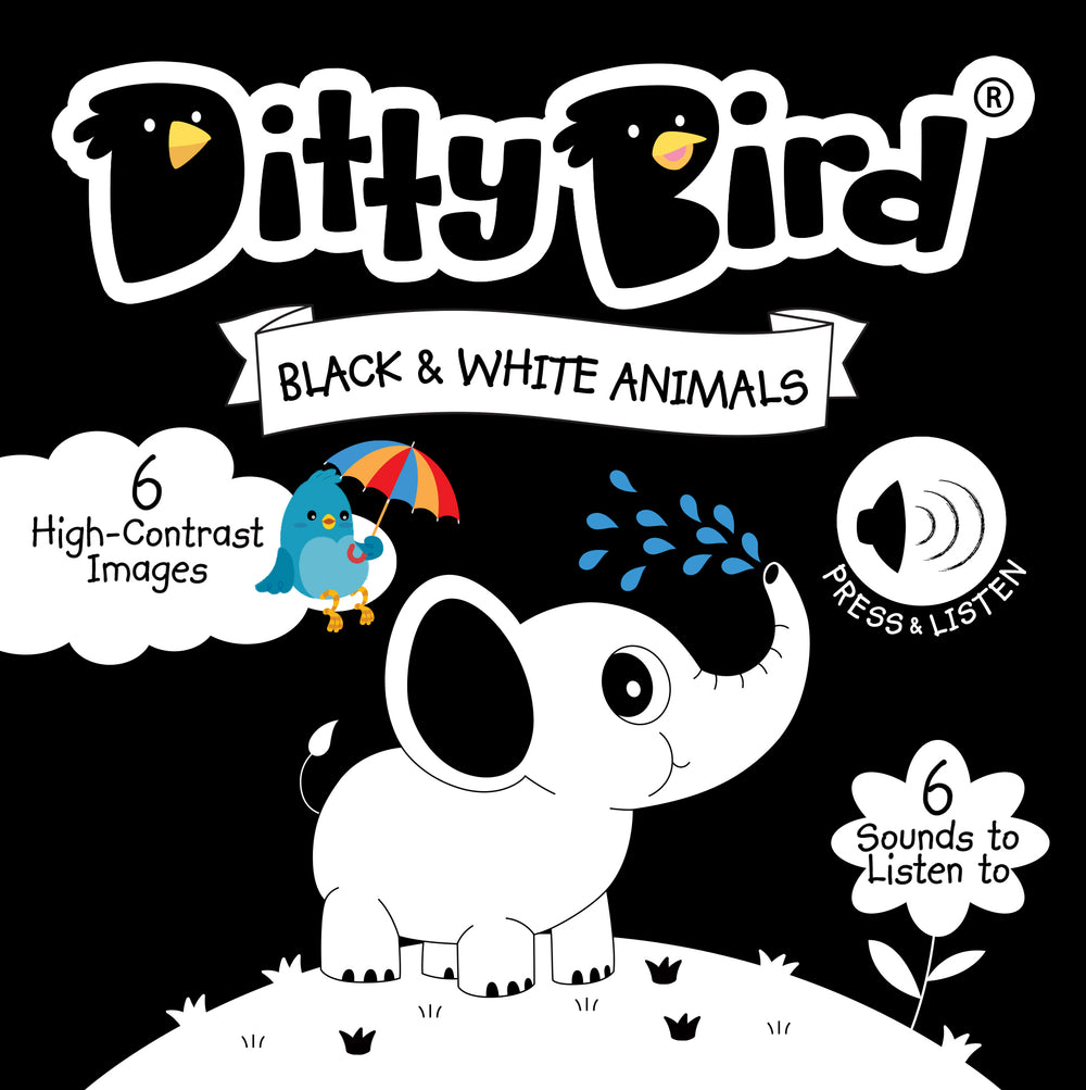 NEW! Ditty Bird - Touch the Colors - Ditty-Bird AUS